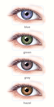 Colored Contacts For Me: Opaque color contact lenses for cosmetic purposes